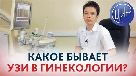 Ультразвуковое исследование УЗИ в гинекологии Youtube
