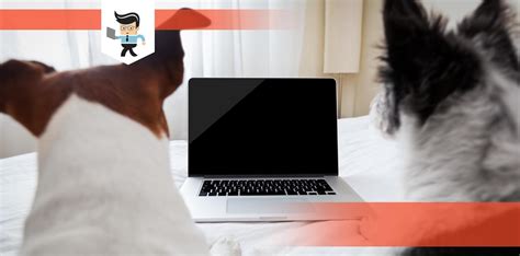 Gaming Laptop Vs Macbook Picking Out Your Next Laptop