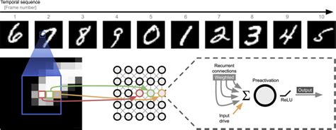 Predictive Coding Is A Consequence Of Energy Efficiency In Recurrent