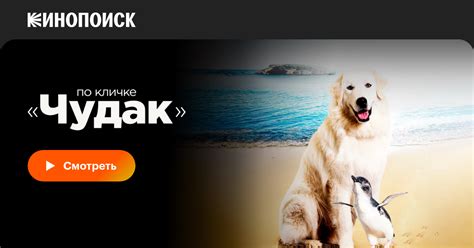 По кличке «Чудак», 2015 — описание, интересные факты — Кинопоиск