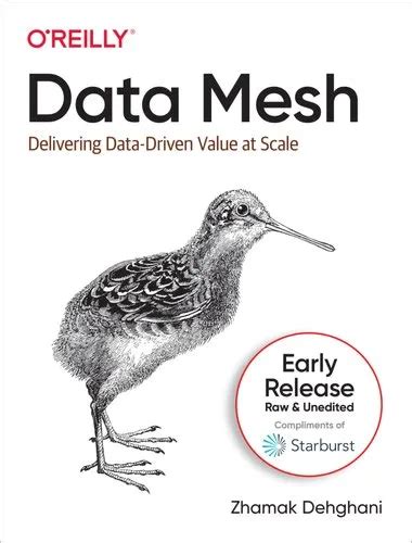 data mesh delivering data driven value at scale download pdf