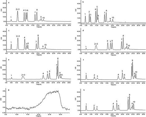 Influence Of Different Gradient Elution Conditions On Chromatographic Download Scientific