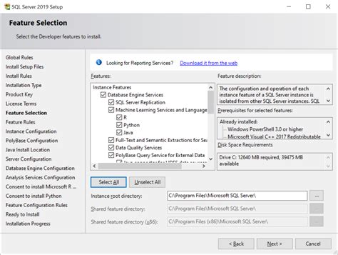 Sql Server Installation 2019 Developer Edition Custom