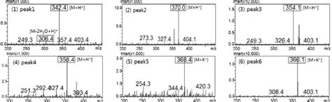 Mass Spectra Of Separated Peaks Lc Ms Conditions Nebulizing Gas Flow