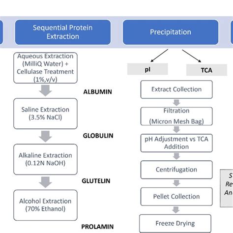 Effect Of Ph Adjustment On Protein Pellet Recovery And Protein