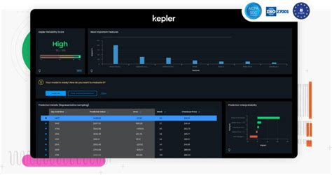 Kepler Stradigi Ai