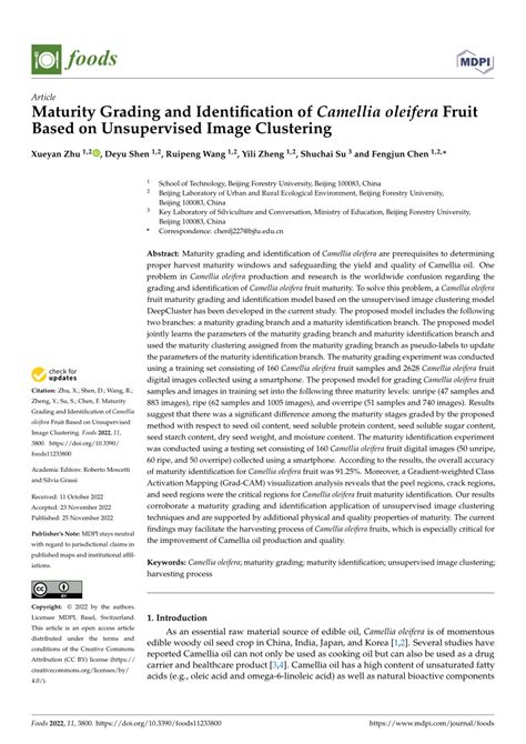 Pdf Maturity Grading And Identification Of Camellia Oleifera Fruit Based On Unsupervised Image