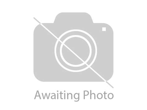 Cockapoo Two Years 6 Months Old Lovely Girl In Bovey Tracey On Freeads