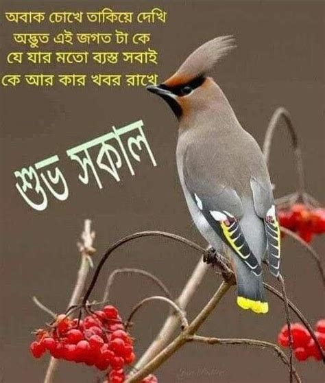 Pin Von Mohammed Nasiruddin Chowdhury Auf Bangla Quotes
