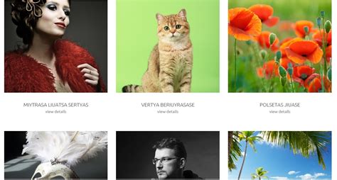 Cherry Framework Review Wordpress Themes From Template Monster