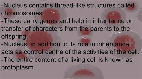 Chapter Cells Structure And Functions Class Science PDF