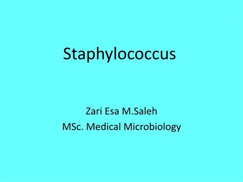 Pdf Staphylococcus Spp Dokumen Tips