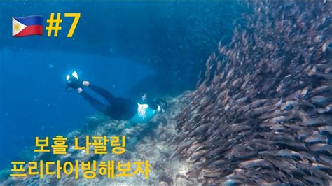 🇵🇭필리핀여행 Ep7 보홀에서는 바다를 들어가야해 공짜로 나팔링가는법 시키호르에서 보홀가기 정어리떼 스노클링 알로나비치