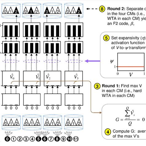 Graphic Illustration Of The Csa Circled Numbers Refer To Algorithm