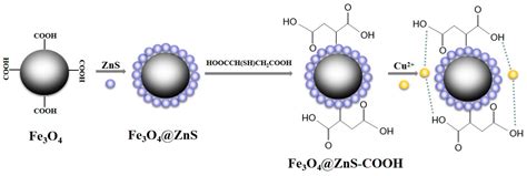 a multifunctional magnetic fluorescent nanoprobe for copper ii using