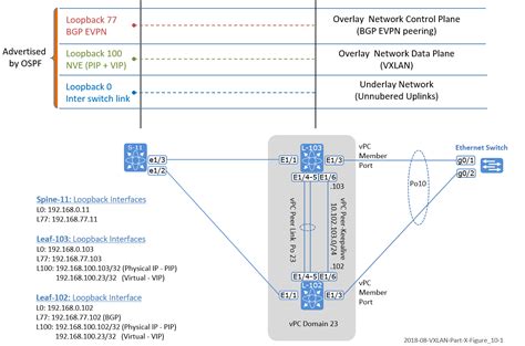 The Network Times Vxlan Part X Recovery Issue When Bgp Evpn Peering Uses The Same Loopback