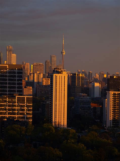 Cn 타워 건물 건축 경치 경치가 좋은 고층 고층 건물 골든 아워 대도시 도시 도시 건축 도시 경관 도시 풍경 도시의 도시의 불빛 도시의 아름다움