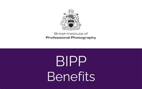 The Bipp On Linkedin Bipp Bipp Photography Photographybusiness
