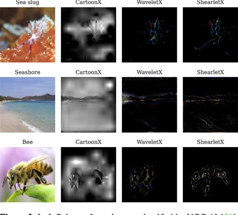 figure 2 from explaining image classifiers with multiscale directional
