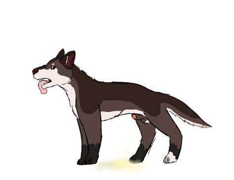 Rule 34 Absurd Res Animal Genitalia Balls Bodily Fluids Canid Canine