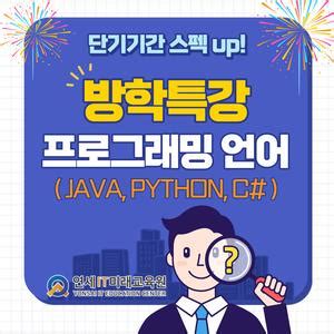 방학특강 나도 한다 자바 JAVA 파이썬 Python C 프로그래밍 입문 요즘것들
