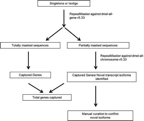 identification of novel transcript isoforms repeatmasker was used to