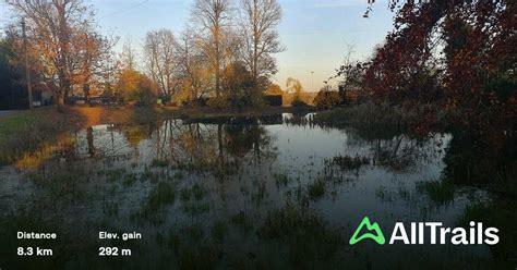 Chipstead Circular 73 Fotos Surrey Engeland Wandelen Alltrails