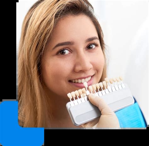 Dental Clinic Collins Street About Us 15 Collins Dental