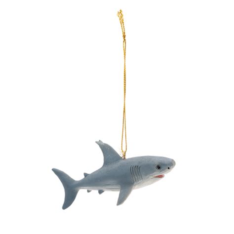 Ts Ocearch
