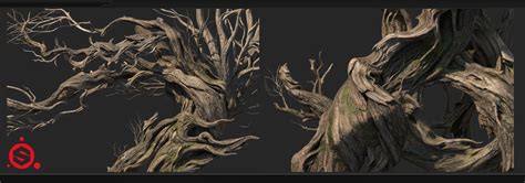 The Way Of Tree ZBrushCentral