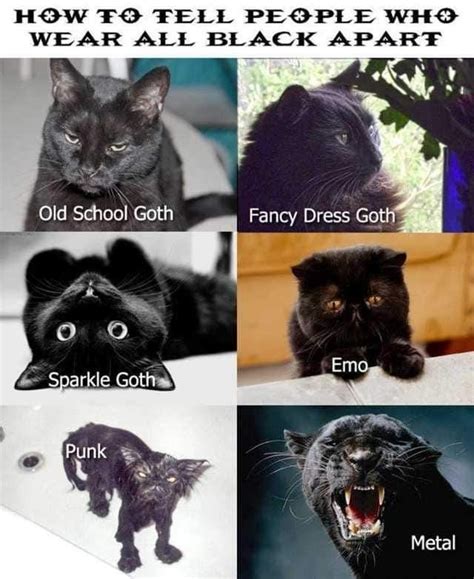 Emo Cat Memes