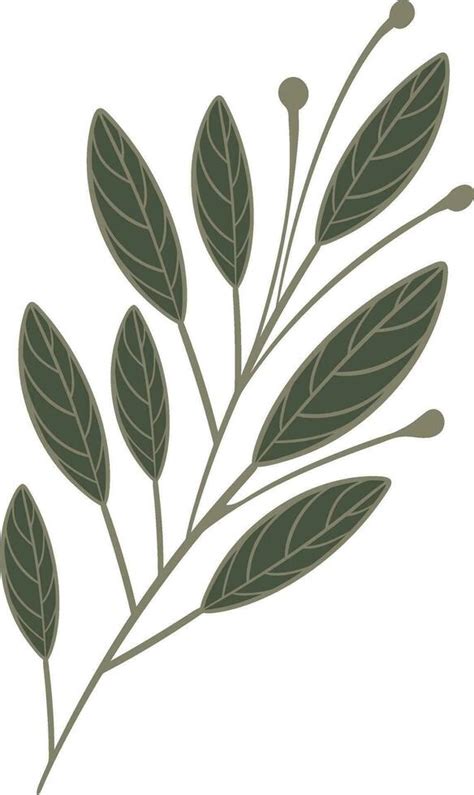 Plant Element Iilustration 35117129 Vector Art At Vecteezy