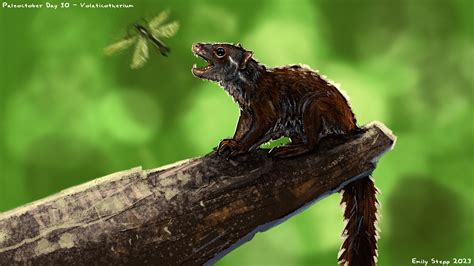 Volaticotherium