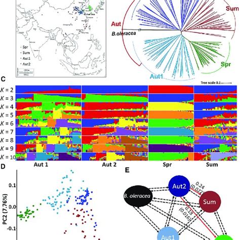 Pdf A Genomic Variation Map Provides Insights Into The Genetic Basis Of Spring Chinese Cabbage