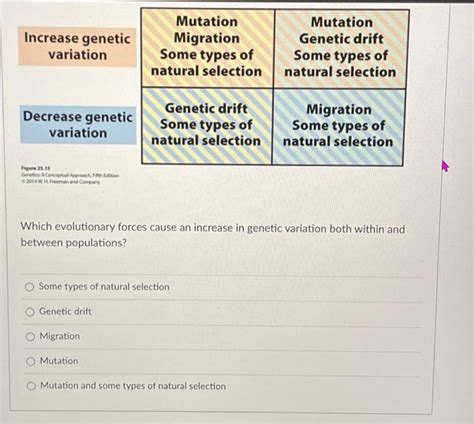 Which Evolutionary Forces Cause An Increase In