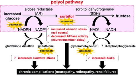 Sorbitol Pathway