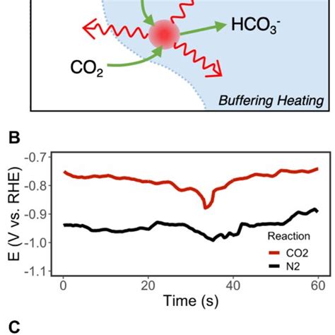 The Heat Effects Of Co2 Dissolution Are Noticeable Even At High Current Download Scientific