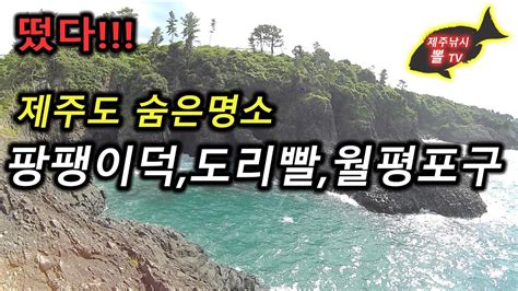제주도스노클링 프리다이빙 숨은명소 팡팽이덕 도리빨 월평포구 찾아가기 Youtube