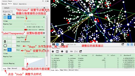 Cytoscape可视化物种分类树结构 Csdn博客