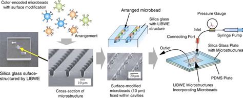 Fabrication Of Microfluidic Beads Array Device For Dna Analyses Download Scientific Diagram