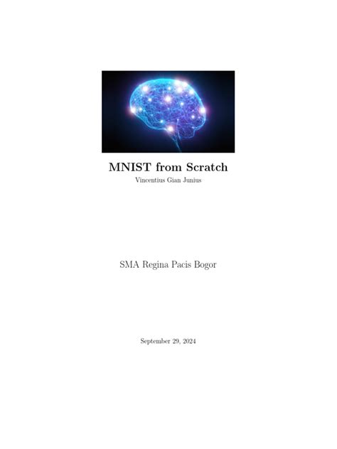 mnist from scratch pdf artificial neural network applied mathematics