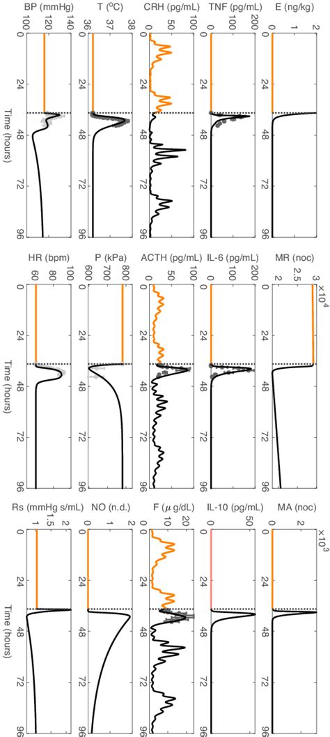 Simulation Generated By Solving The Unified Model With Parameters Download Scientific Diagram