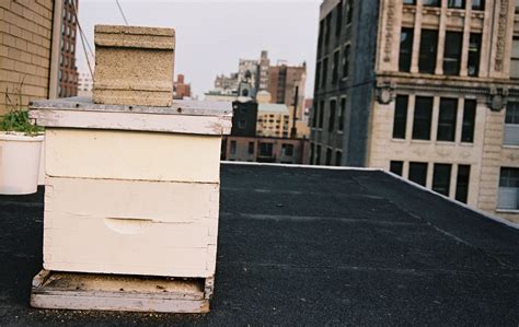 Gallery Work — Erin Austen Abbott Gallery Work — Erin Austen Abbott