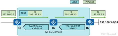 Mpls Ldp原理与配置mpls邻居状态 Csdn博客