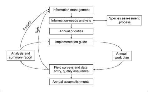 Strategic Survey Implementation Model Overview Download Scientific Diagram