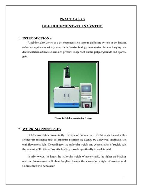 Gel Documentation System Pdf Gel Electrophoresis Fluorescence
