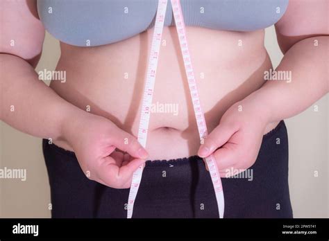 Rubber Plantation Farming Area In The South Of Thailand Latex Rubber Para Rubber Tree Garden