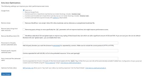 Wp Rocket And Autoptimize How To Use Them Together
