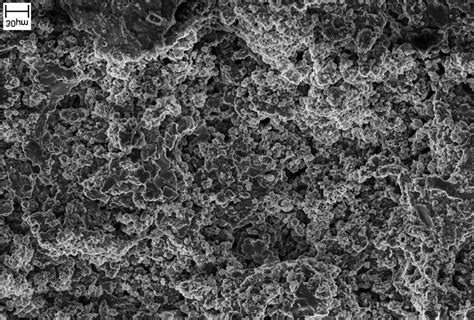 The Microstructure Of The Sample Fracture Download Scientific Diagram