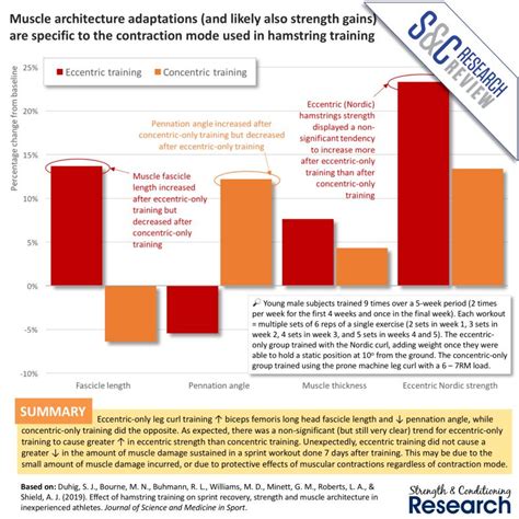Strength And Conditioning Research Llc On Linkedin Eccentric Hamstring Curls Nordics Cause